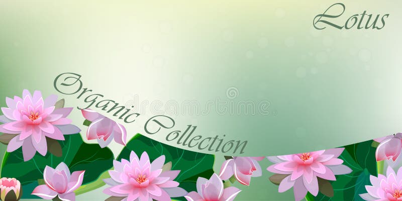 Illustration of Lotus Flower Stock Vector - Illustration of care ...