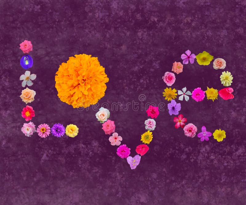 Illustration Love Letters Made Flowers Stock Image - Image of letters ...