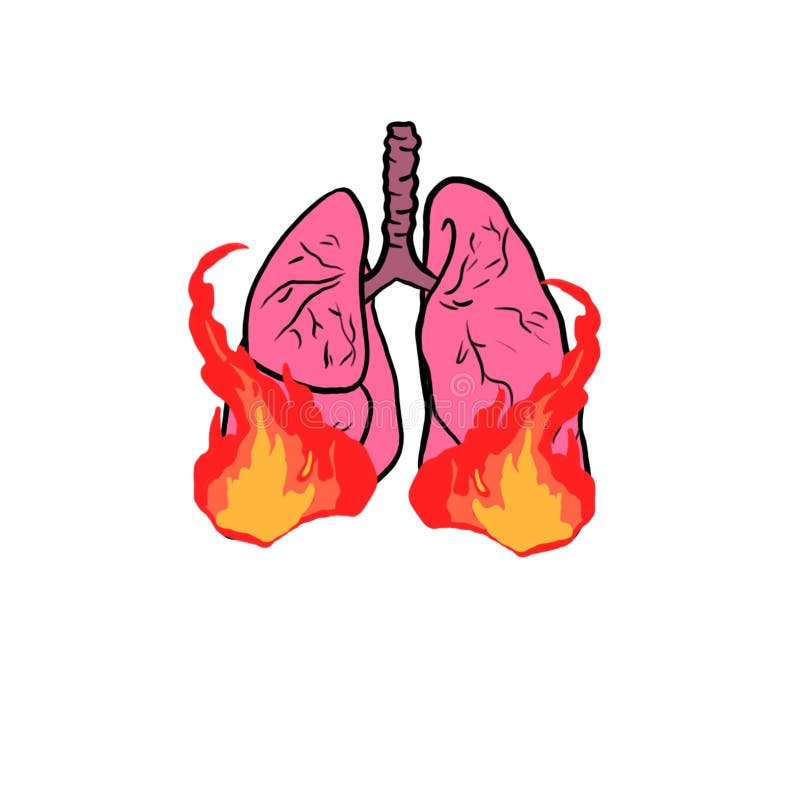 Lungs on Fire stock vector. Illustration of fire, flower - 228950556