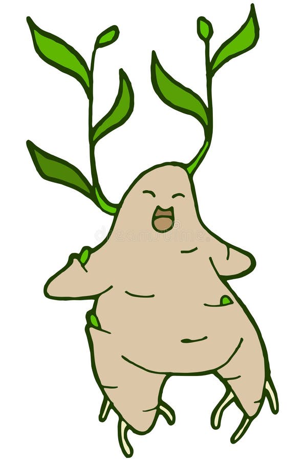 Cartoon Mandrake Stock Illustrations – 138 Cartoon Mandrake Stock ...