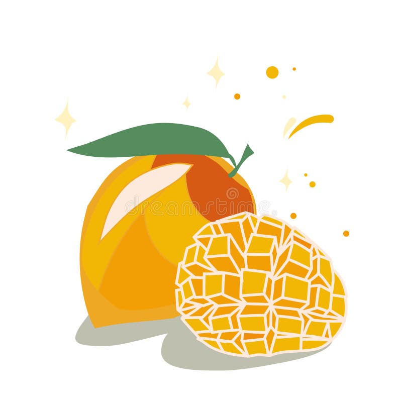 Mango illustration stock photo. Illustration of magic - 316900010