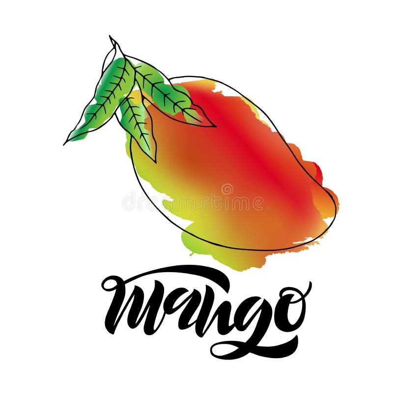 Mango. Handwritten Calligraphic Text with White and Black Stroke on ...