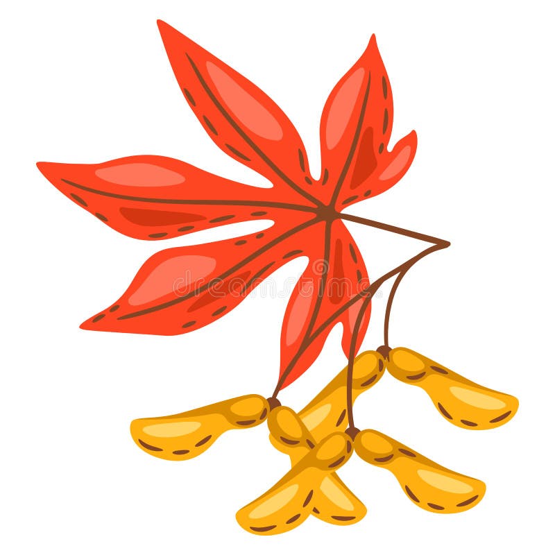 Maple Seeds Flying Stock Illustrations – 32 Maple Seeds Flying Stock ...