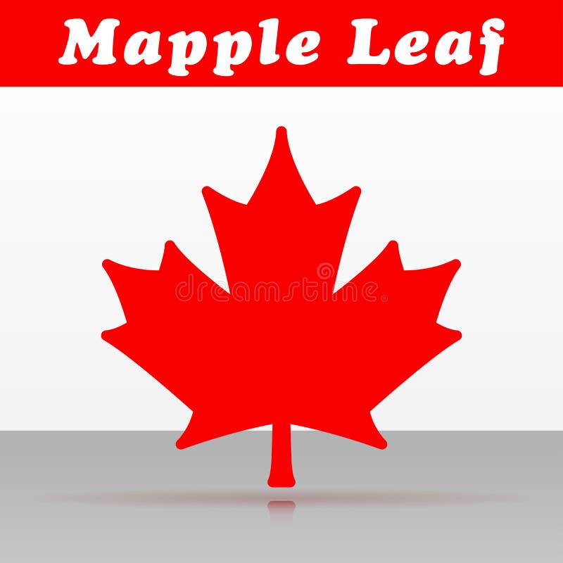 Mapple Leaf Vector Icon Design Stock Vector - Illustration of vector ...