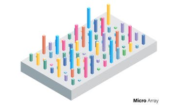 Illustration of Microarray Technique on White Background Demonstrating ...