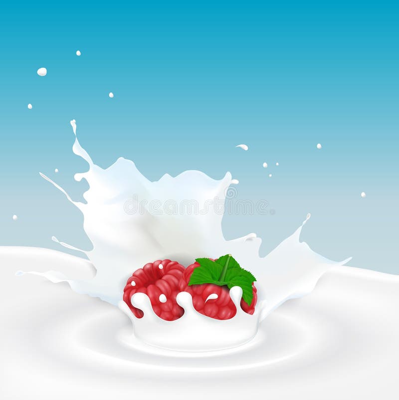 Red Ripe Raspberry Falling Milky Splash Stock Illustrations – 42 Red ...