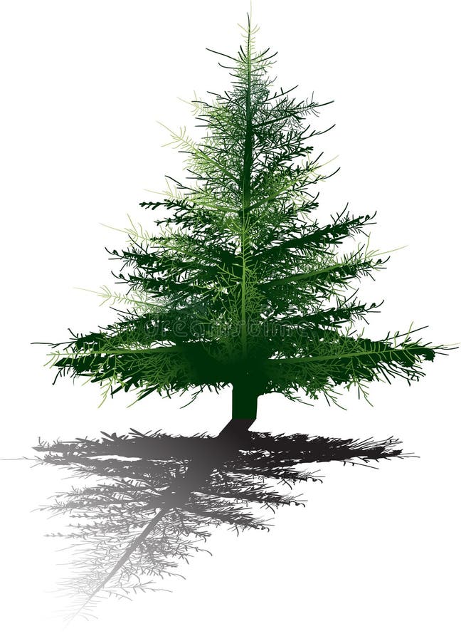 Tanne Stock Illustrationen, Vektoren, & Kliparts - 170,086 Stock ...
