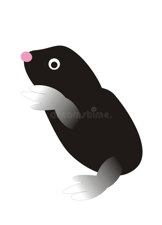 How To Draw A Cartoon Mole