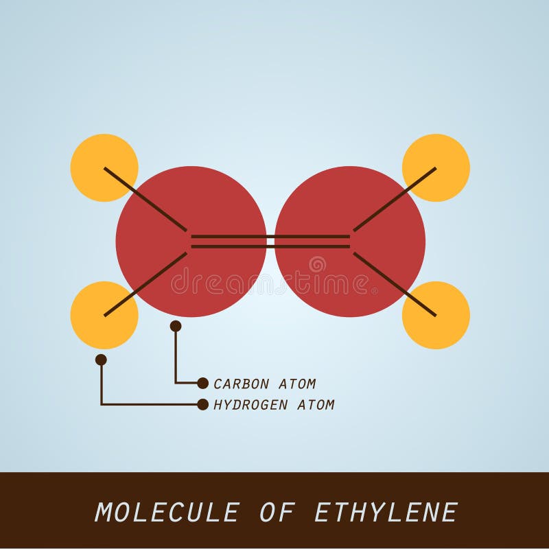 Illustration of Molecule of Ethylene in Modern Flat Design Stock Vector ...