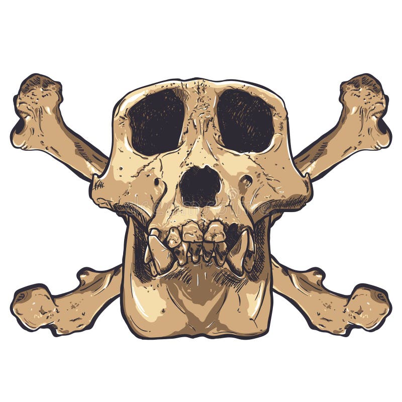 Illustration of a Monkey Skull on Background. Vector. Stock Vector ...