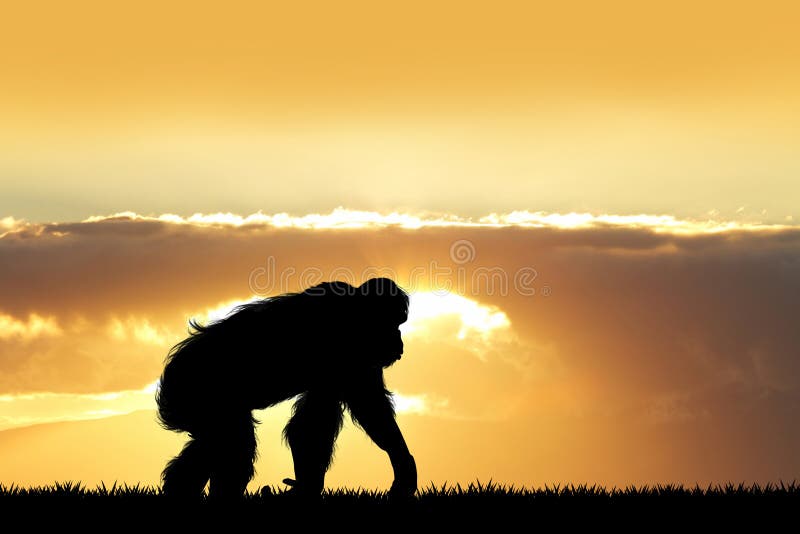 Illustration of Monkey at Sunset Stock Illustration - Illustration of ...