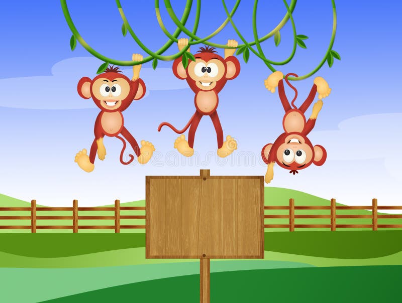 Monkey In The Zoo Cartoon