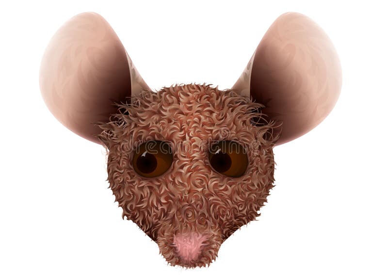 Mouse Head Mascot Cartoon Illustration Flat Design Stock Vector ...