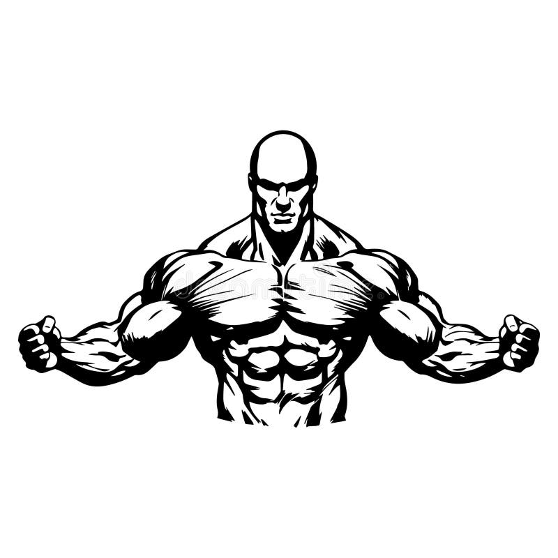 Illustration of Muscular Torso in Drawing Stencil Style. Stock Vector ...