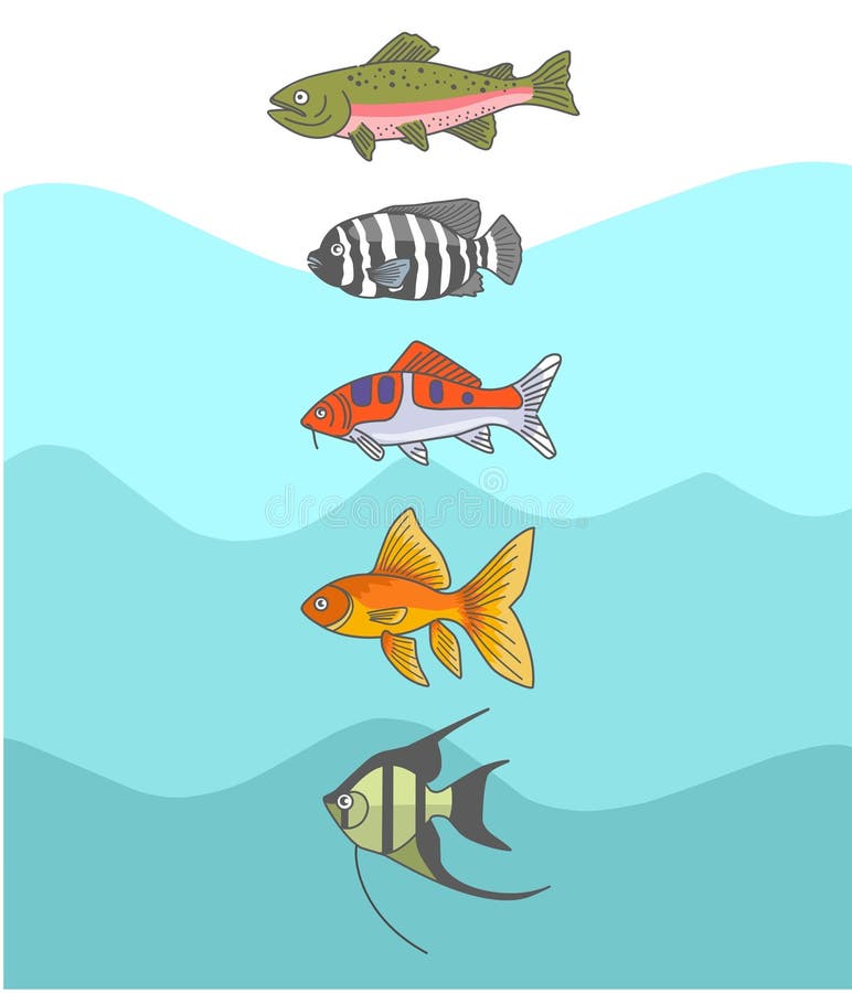 Illustration of the Names of Freshwater Fish Stock Vector ...
