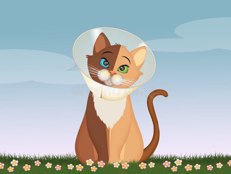 Neutered Cat Stock Illustrations – 19 Neutered Cat Stock Illustrations ...