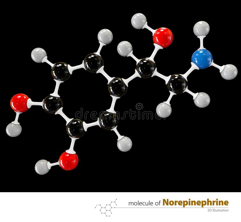 Norepinephrine molecule stock vector. Illustration of skeletal - 285377355