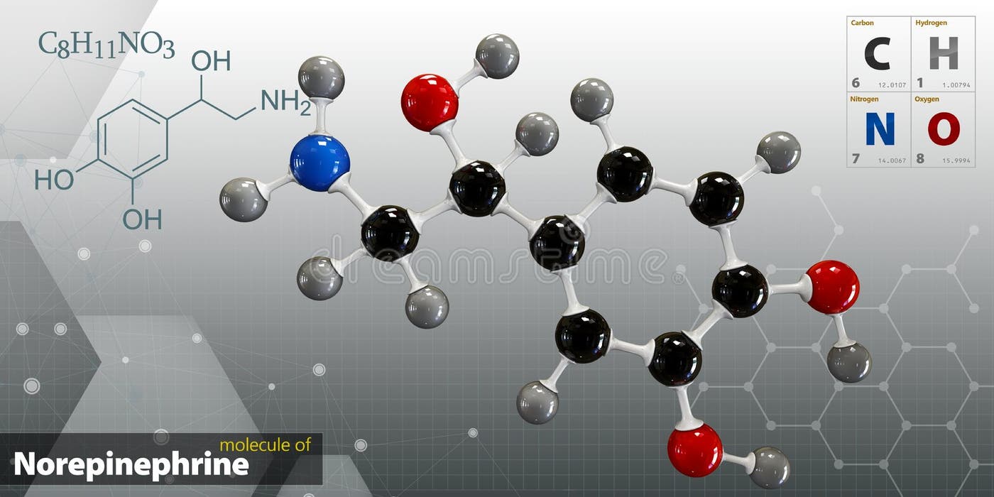 Norepinephrine Stock Illustrations – 614 Norepinephrine Stock ...