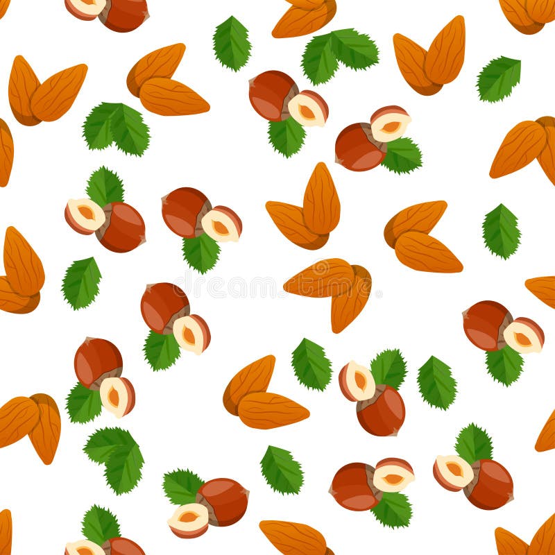 Illustration of nuts stock vector. Illustration of pods - 90855840