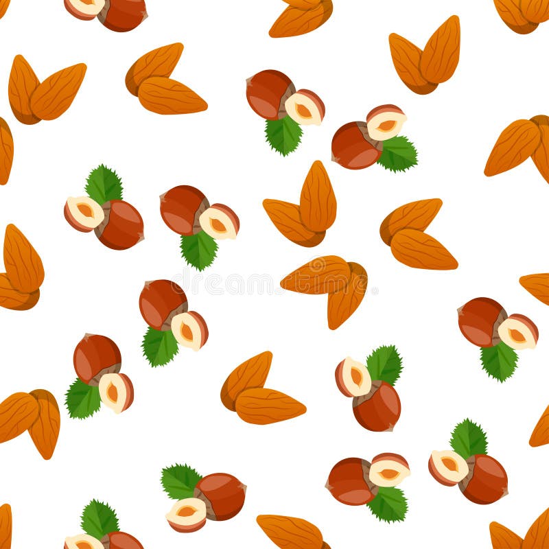 Illustration of nuts stock vector. Illustration of groundnut - 91206790