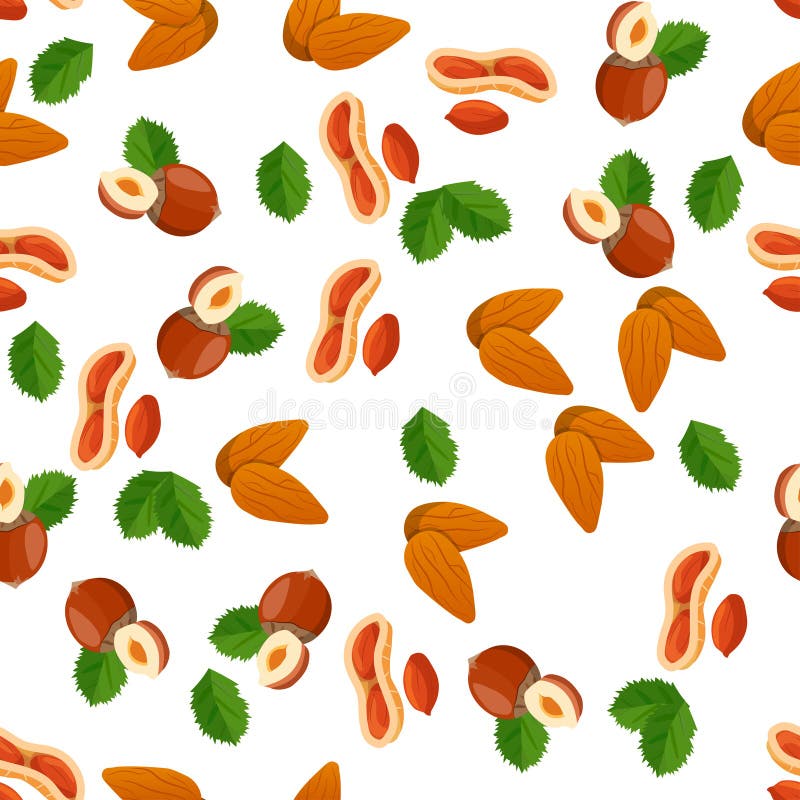 Illustration of nuts stock vector. Illustration of hazelnut - 91349517