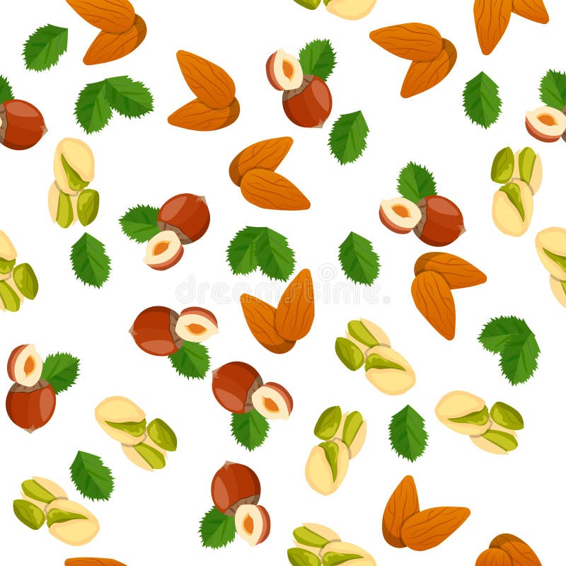 Illustration of nuts stock vector. Illustration of legume - 90957201