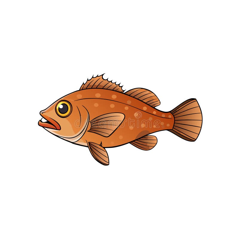 Cartoon Copper Rockfish Illustration Isolated on White Background Stock ...