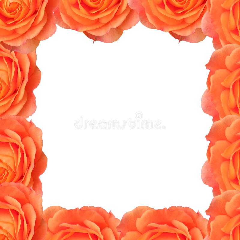 Illustration of an Orange Roses Border Frame with Space for Text in the ...