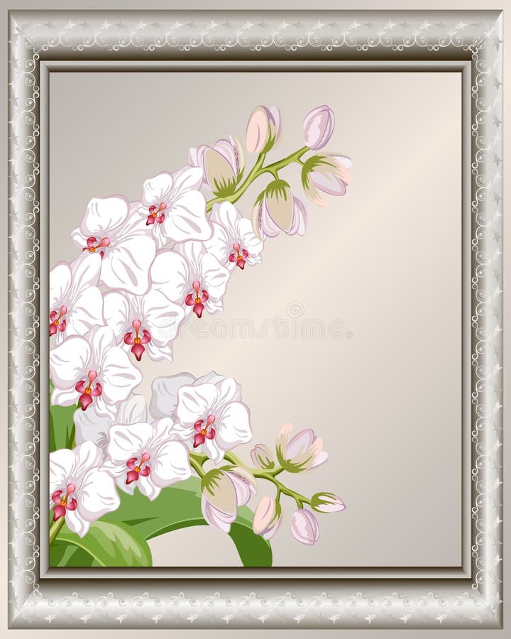 Illustration with an Orchid in an Elegant Frame. Stock Vector ...