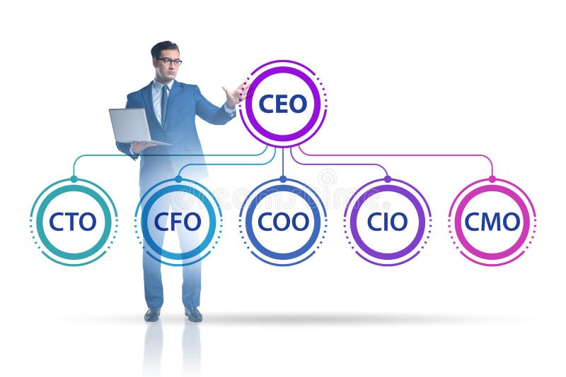 Illustration of Organisation Chart with Various Executives Stock Image ...