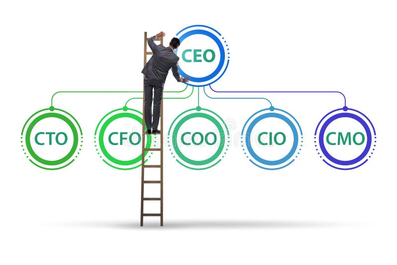Illustration of Organisation Chart with Various Executives Stock Image ...