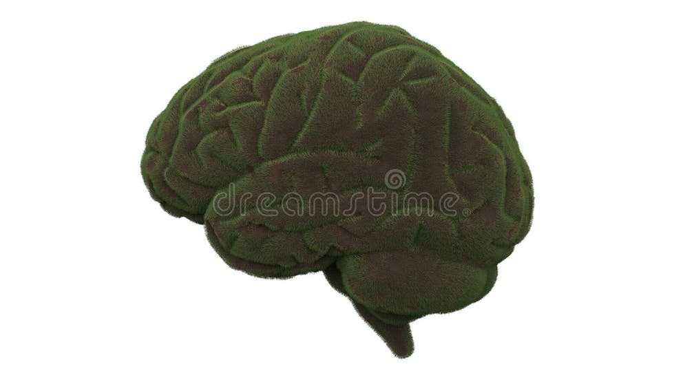 Brain Overgrown Mind Illustration 3d Render Stock Illustration ...