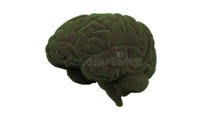 Brain Overgrown Mind Illustration 3d Render Stock Illustration ...