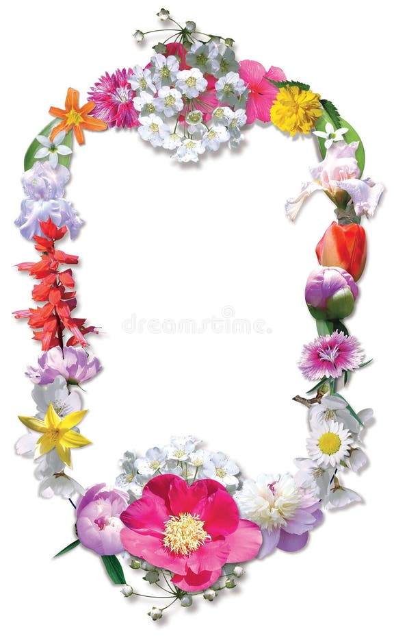 Illustration and Painting stock photo. Image of flower - 81580632