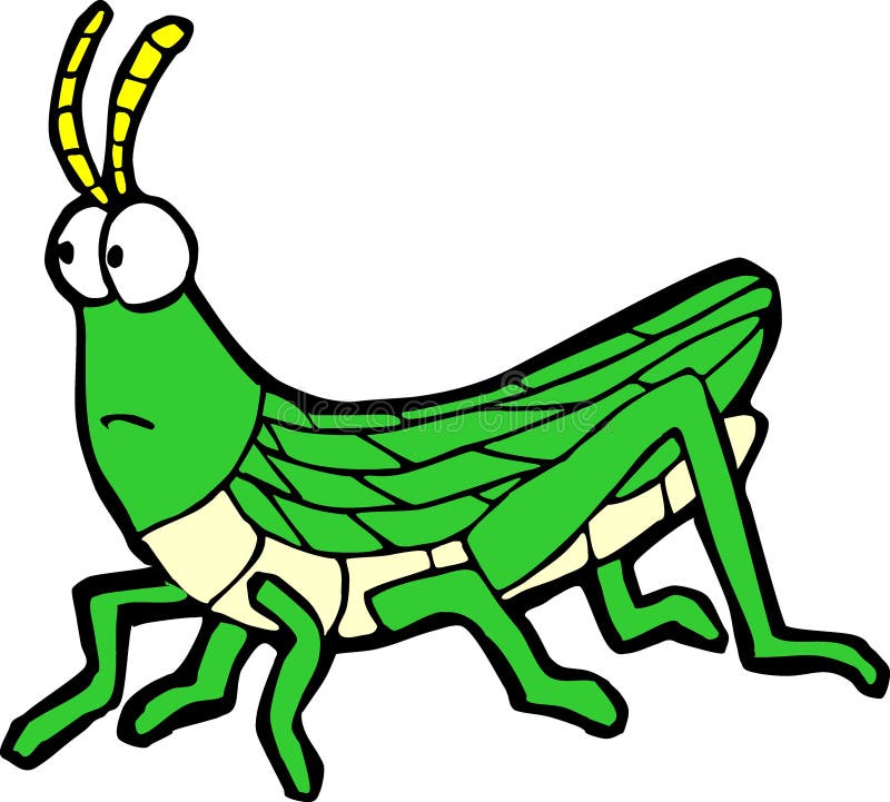 Katydid Stock Illustrations – 86 Katydid Stock Illustrations, Vectors ...