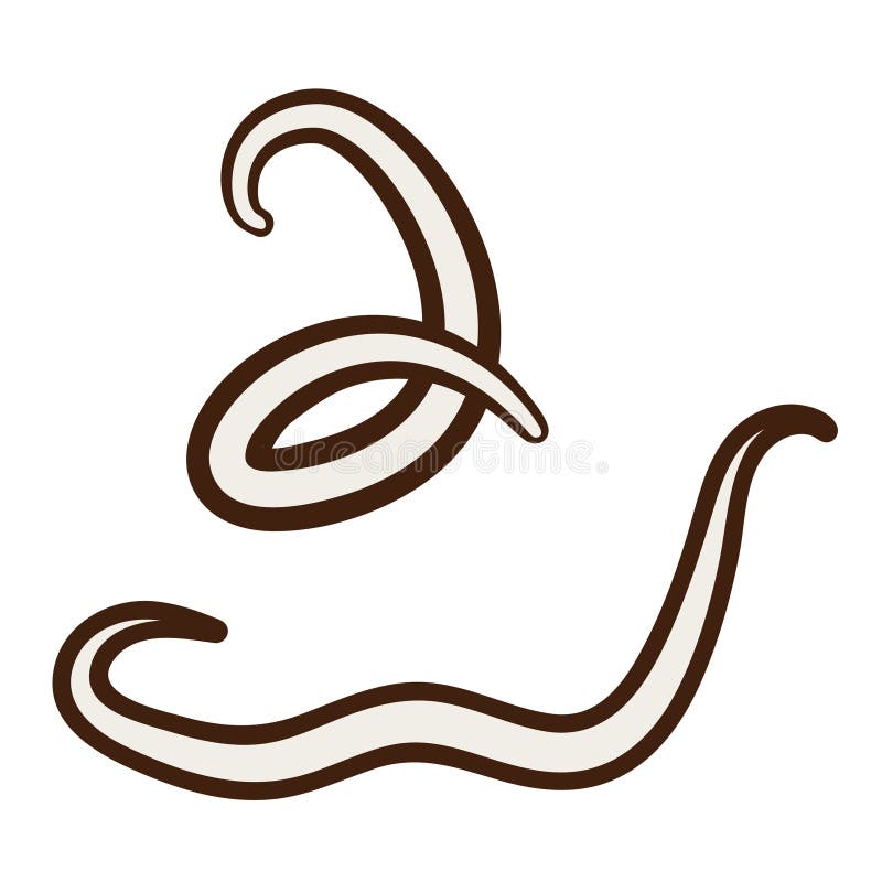 Illustration of parasite stock vector. Illustration of medical - 92598822