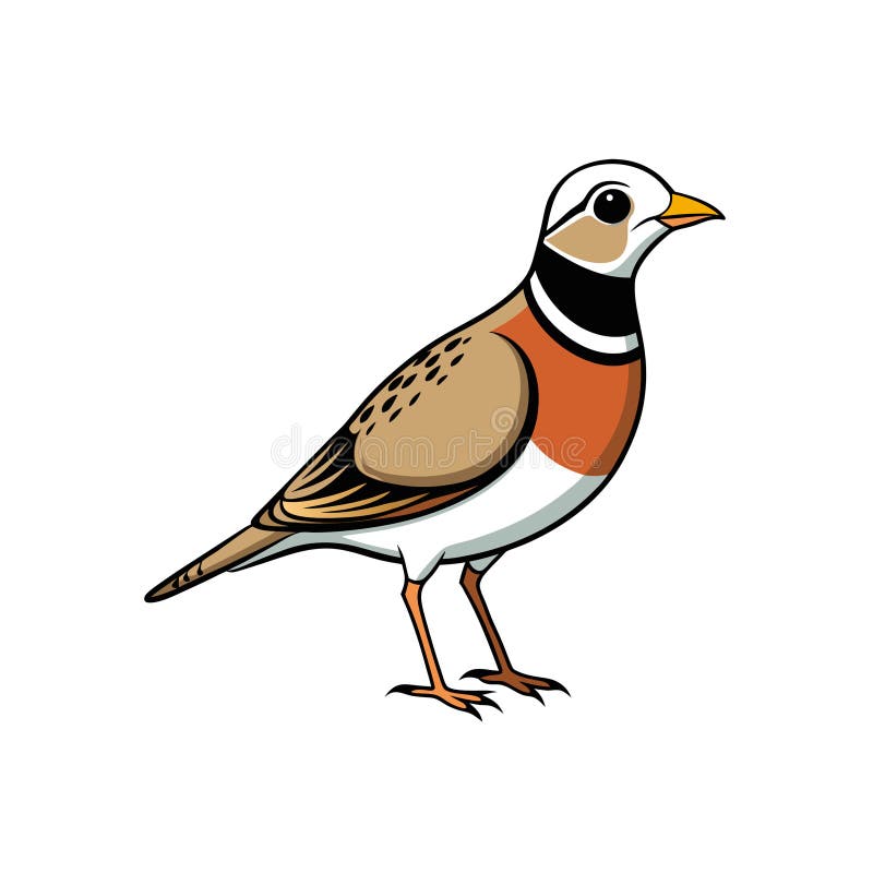 Cartoon Vector Illustration of a Perching Partridge Bird Stock ...