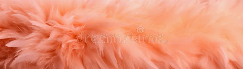 Illustration of a Peach Colored Feather Background in Banner Size Stock ...