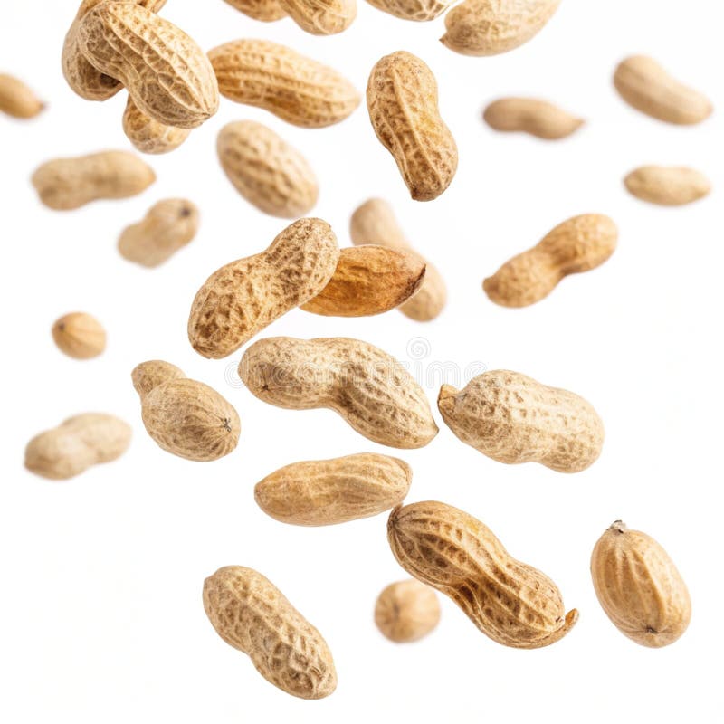 Falling Peanuts Isolated on White Background Stock Illustration ...