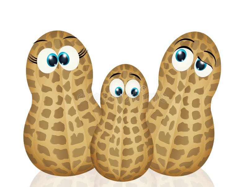 Illustration on Peanuts with Funny Face on White Background Stock ...