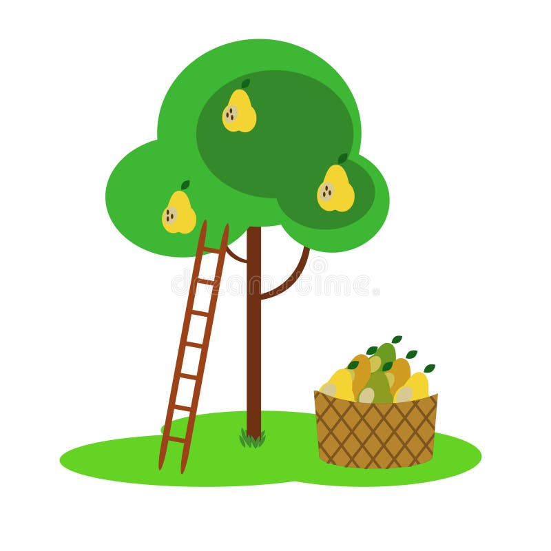 Pear Tree Illustration Ladder Stock Illustrations – 64 Pear Tree ...