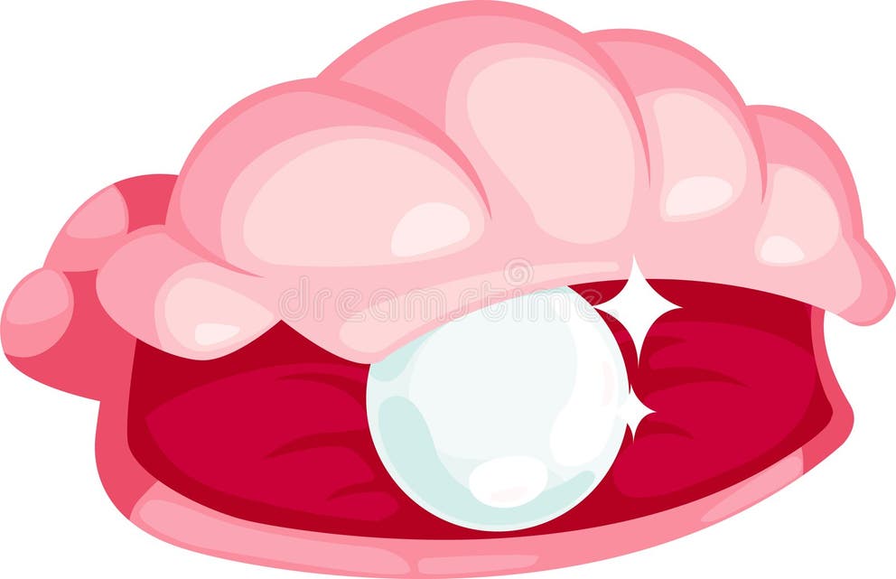 Illustration Pearl Oysters Vector Stock Vector - Illustration of pearl ...