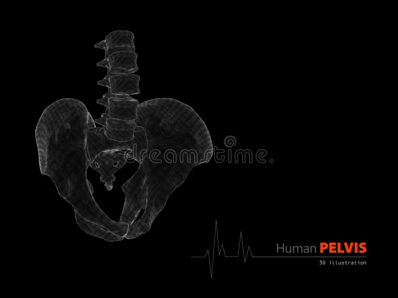 Pelvis Logo Stock Illustrations – 964 Pelvis Logo Stock Illustrations ...