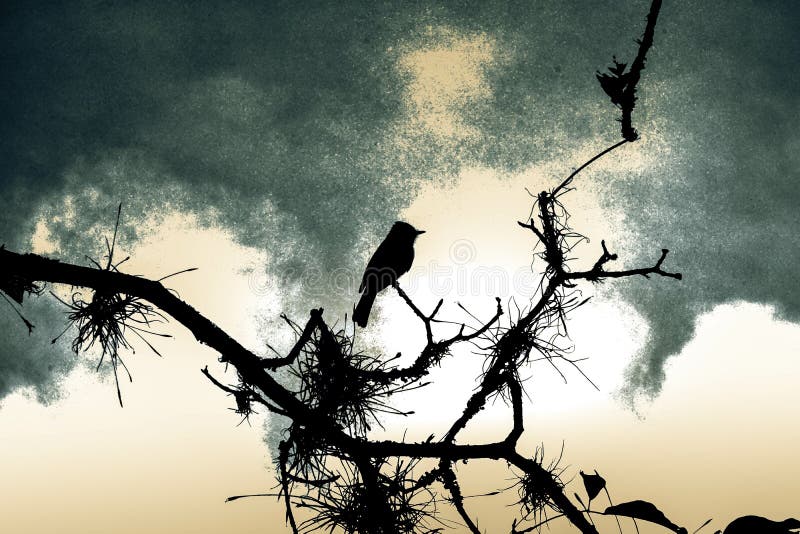 8,215 Birds Shadow Stock Photos - Free & Royalty-Free Stock Photos from ...