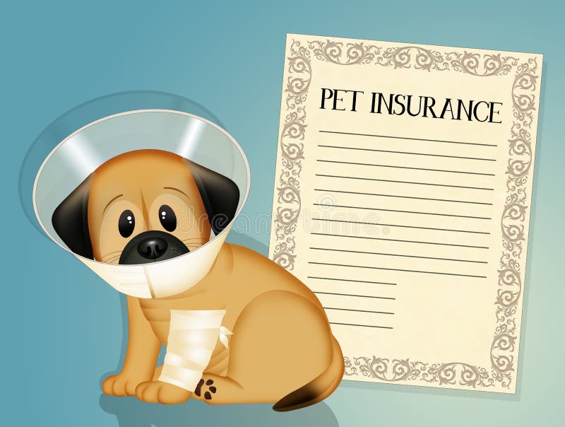 Illustration of Pet Insurance Stock Illustration - Illustration of ...