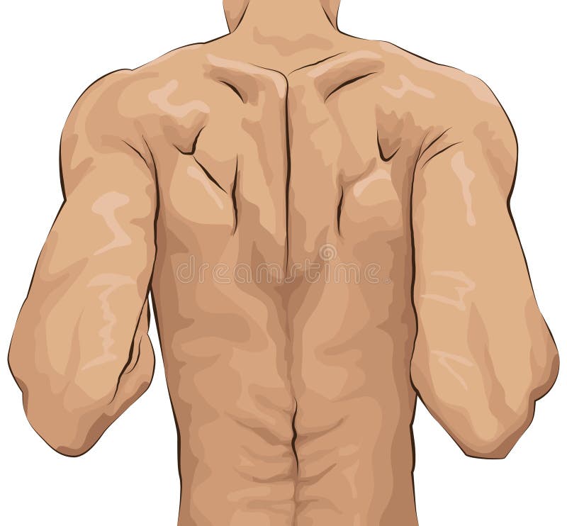 Croquis De Dos Sportif D'homme Illustration de Vecteur - Illustration ...