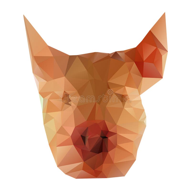 Geometric pig head stock vector. Illustration of cartoon - 69905603