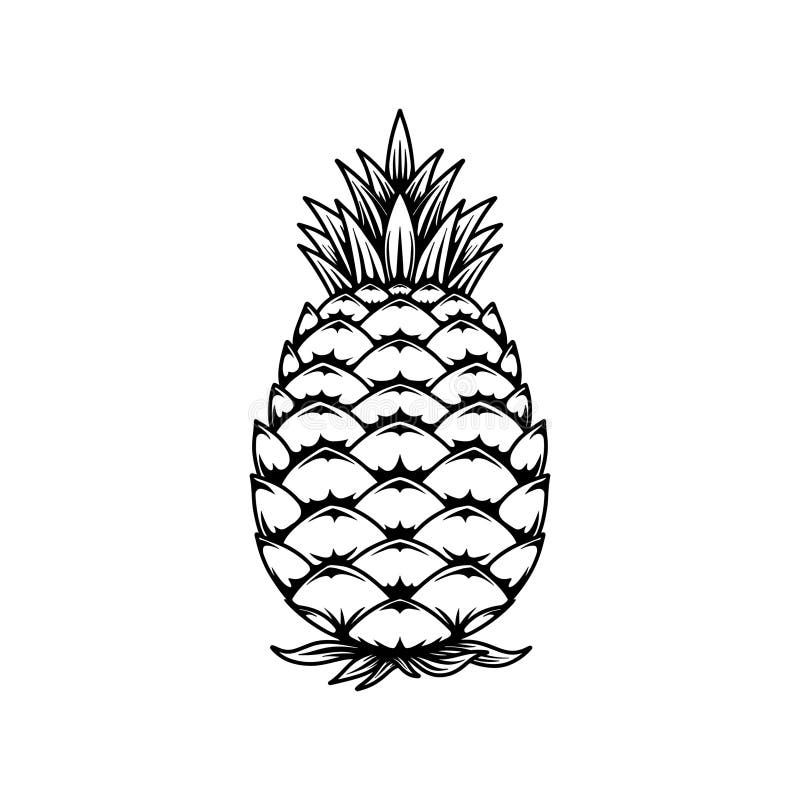 Illustration of Pineapple. Vector Design Stock Vector - Illustration of ...