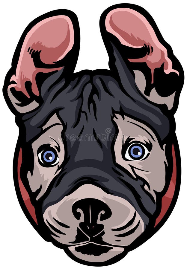 Pitbull Face Illustration. Wild. Face. Vector Stock Vector ...