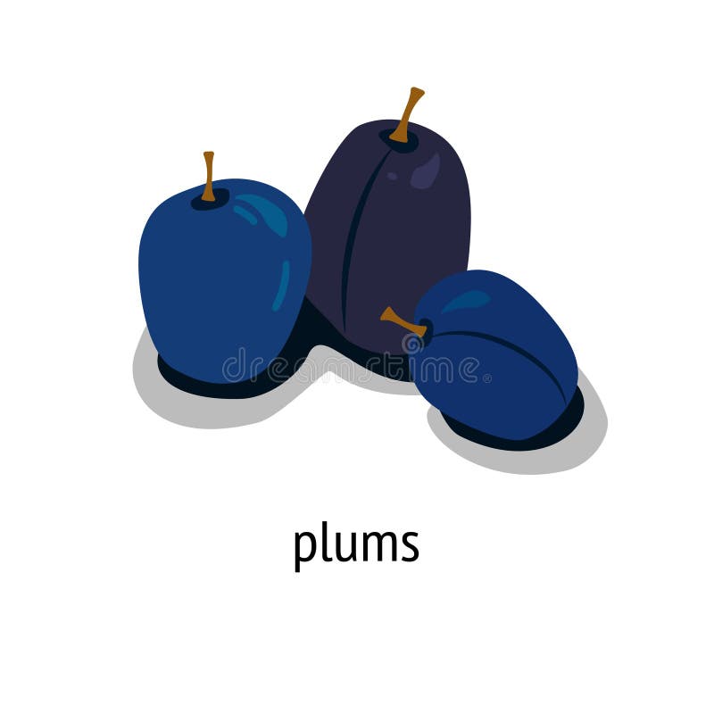 Three Plums Stock Illustrations – 70 Three Plums Stock Illustrations ...